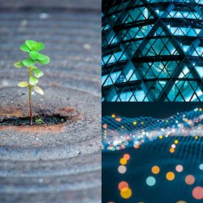 Sustainability and Climate Trends to Watch for 2025